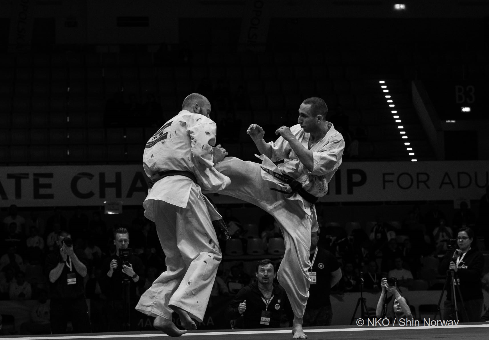 Shinkyokushin EC 2022 | ThunderWeb